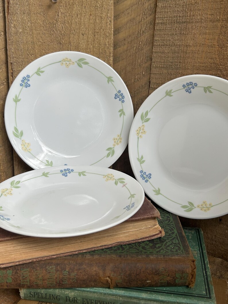 Corelle Secret Garden Salad Plates — Set of 3, Vintage Floral Pattern 6 ...