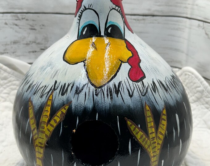 Farmhouse Chicken Gourd Birdhouse Hand Painted Rustic Garden Decor ...