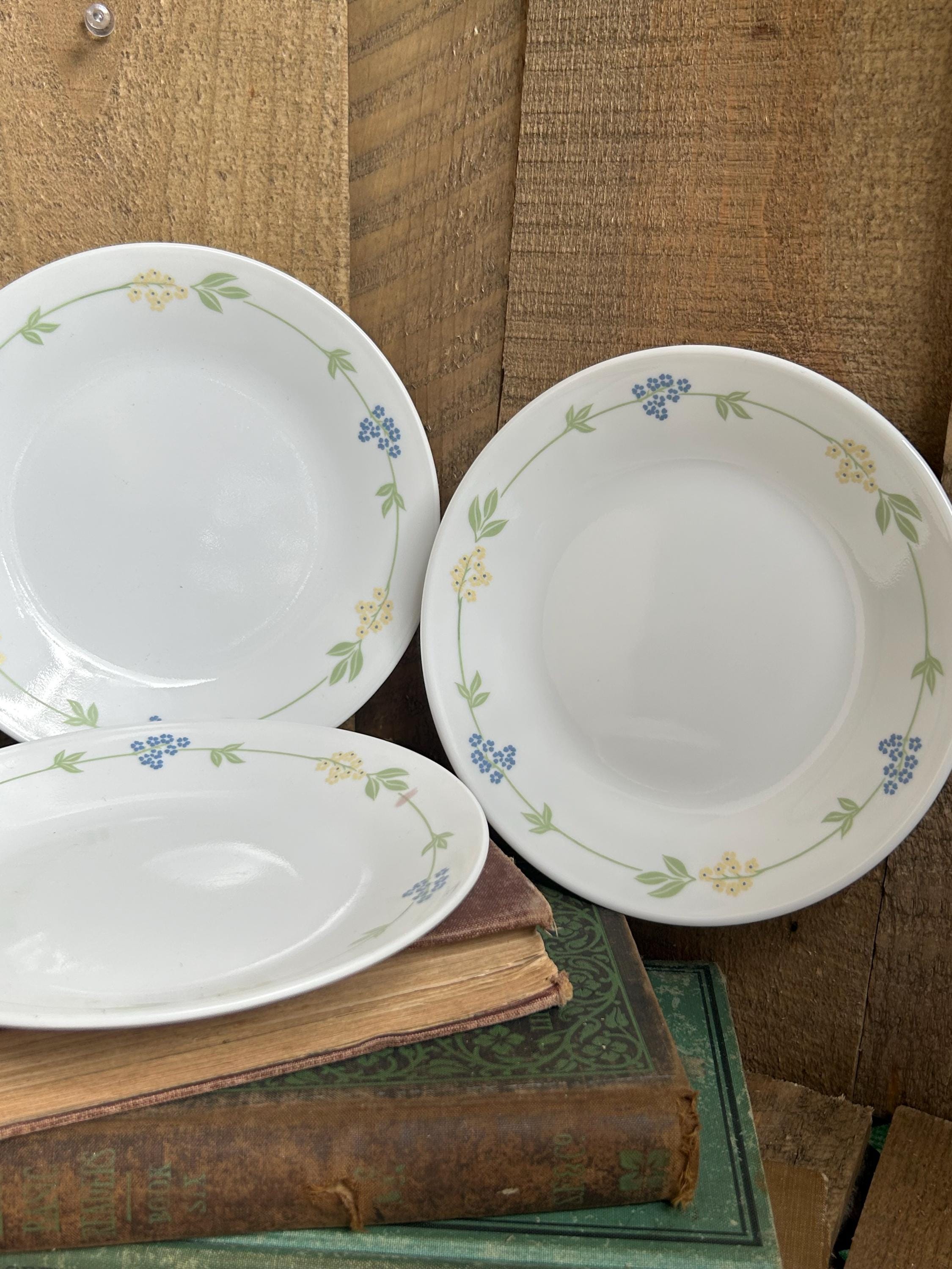 Corelle Secret Garden Salad Plates — Set of 3, Vintage Floral Pattern 6 ...