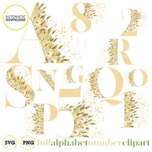 Forest Alphabet, Alphabet Enchanted Forest, Letters and Numbers Clipart ...