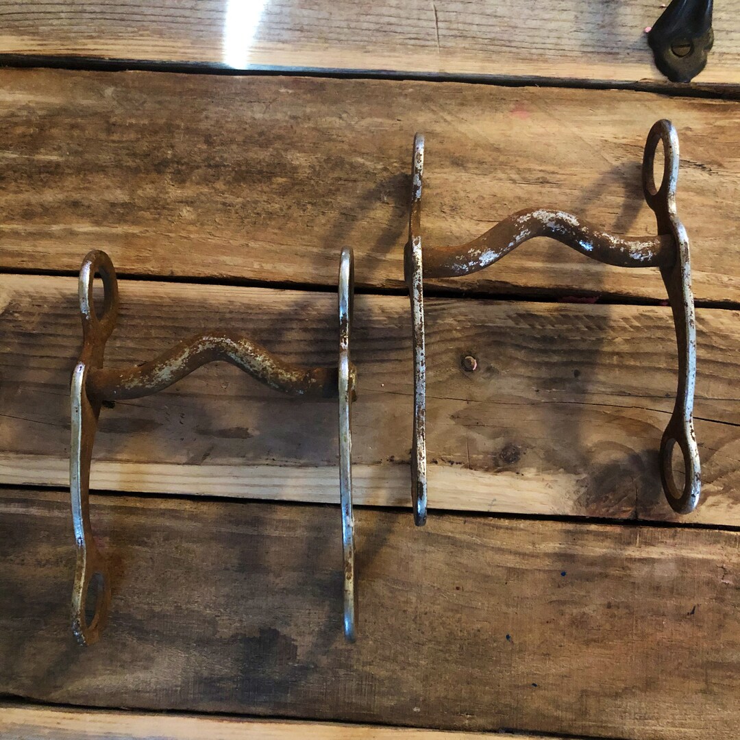 Vintage Pony Mullen Mouth Grazing Bits - Etsy