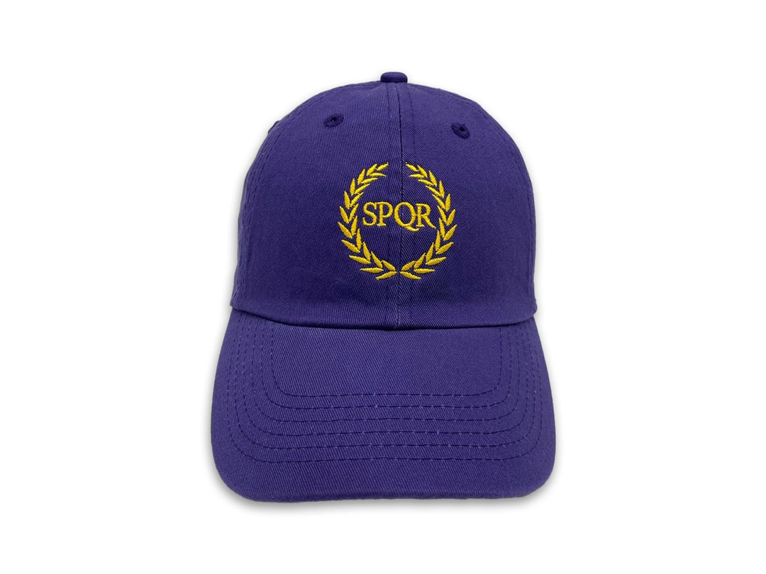 Camp Jupiter Percy Jackson | Camp Half Blood | Unstructured Baseball ...