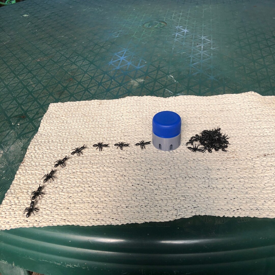 Ant Bait Stations Using Recycled Bottle Caps Reusable - Etsy