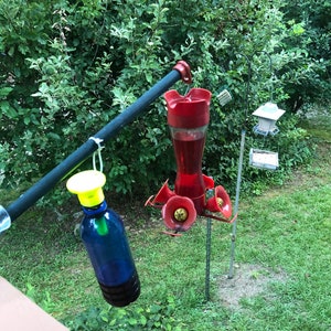 Really Good Wasp Trap for Water, Soft Drink, or 2 Liter Bottle - Etsy