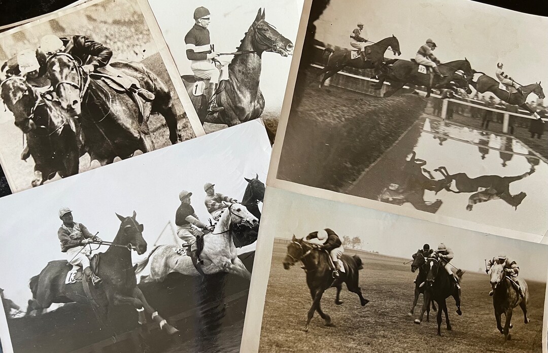 1920s PR Horse Photos Press Agency Racing Equestrian Sports Champion ...
