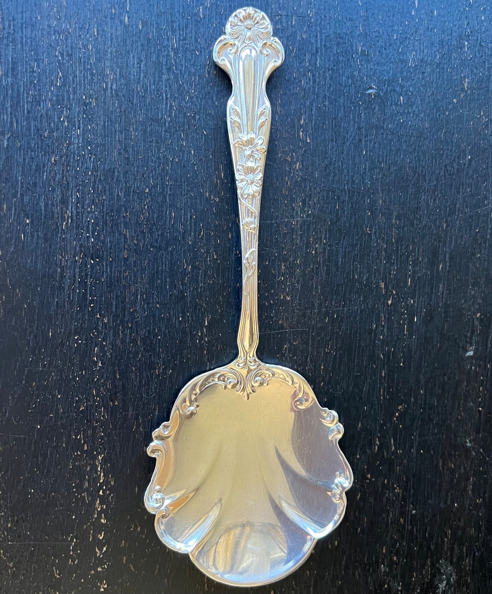STERLING 1904 R. Blackinton & Co. Sterling Silver Floral Series DAISY ...