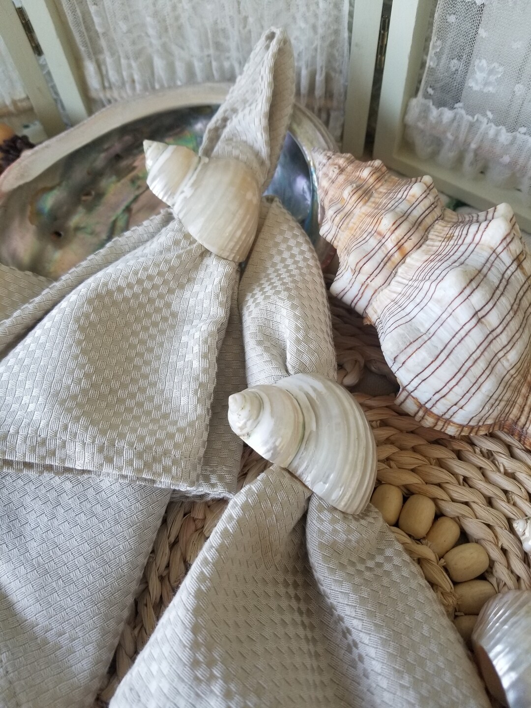 Exotic Pearlized Shell Napkin Rings. These 6 Beautiful Shells Have Been ...