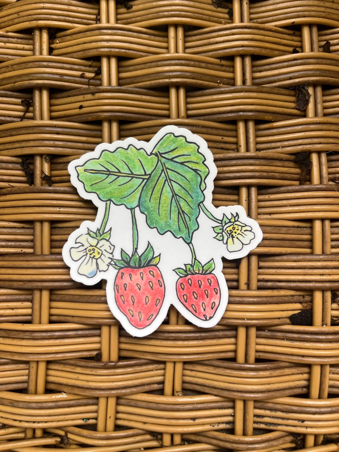 Strawberry Bush Vinyl Sticker | Aesthetic Gardening Summer Watercolor ...