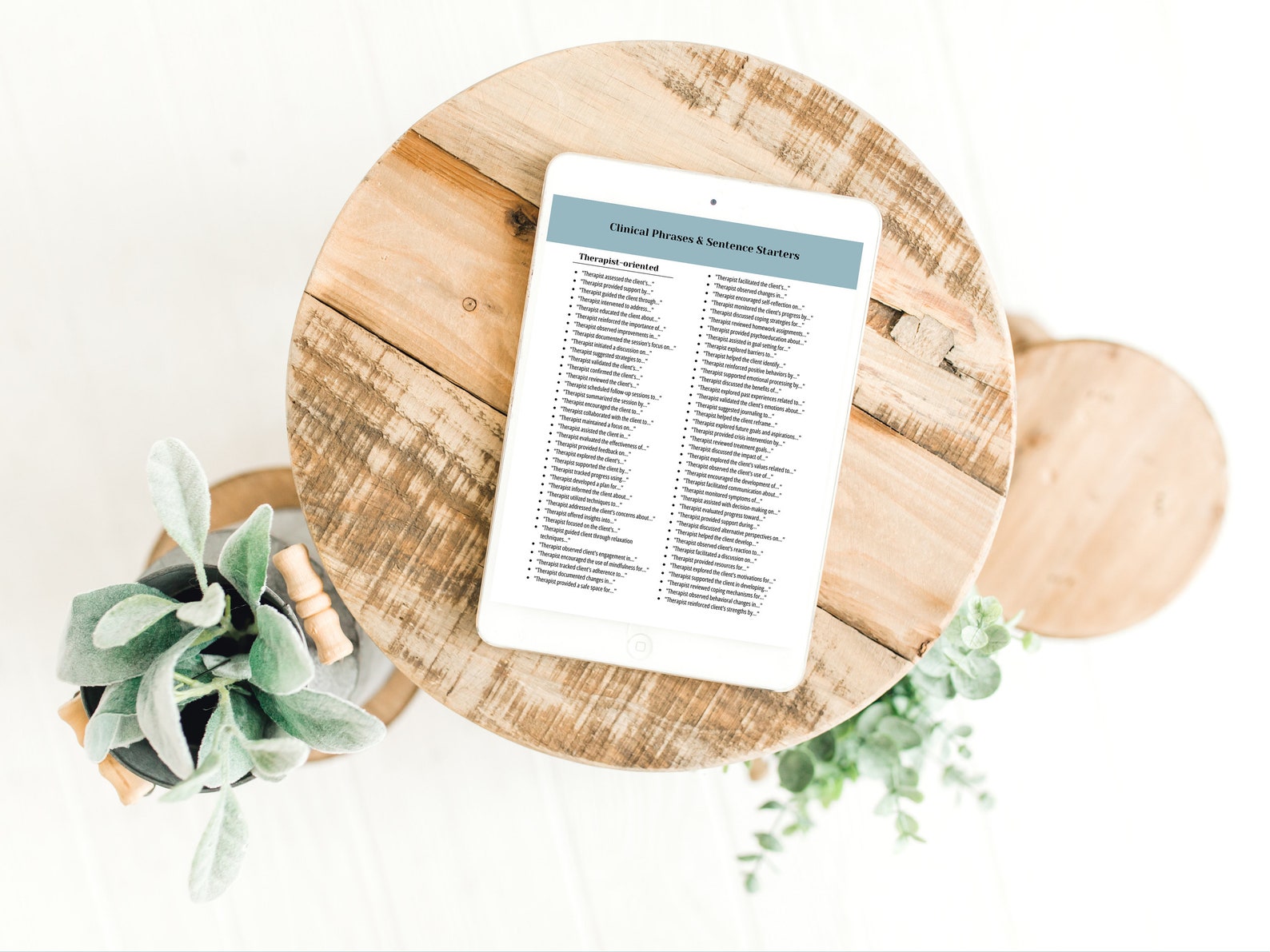 Clinical Words & Phrases, Therapy Interventions, Report Writing, Client ...