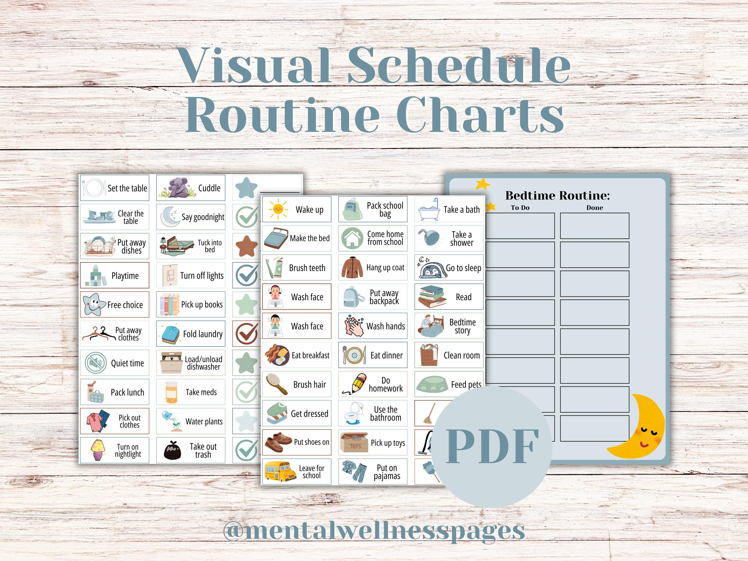 Visual Schedule, Kids Chore Chart, Daily Routine Cards, Visual Routine ...
