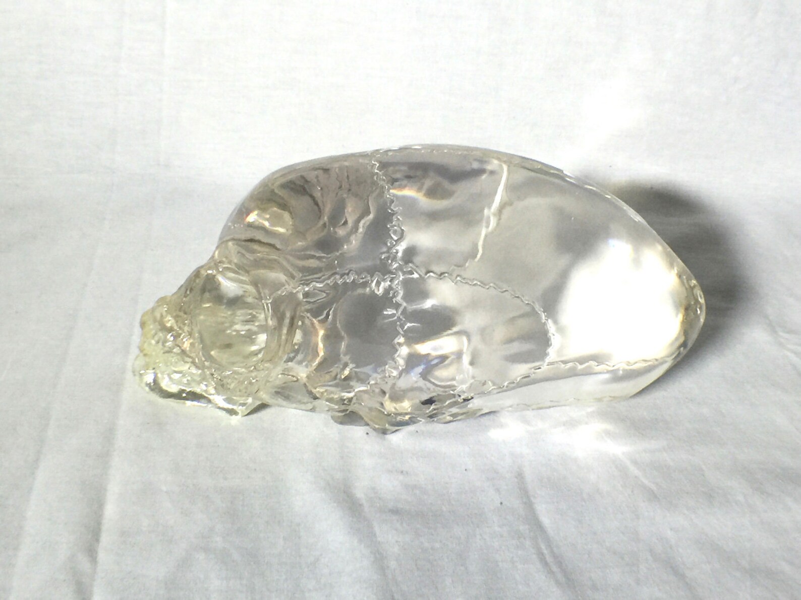 Indiana Jones, Alien Crystal Skull Real Prop Replica, Signed, Numbered ...