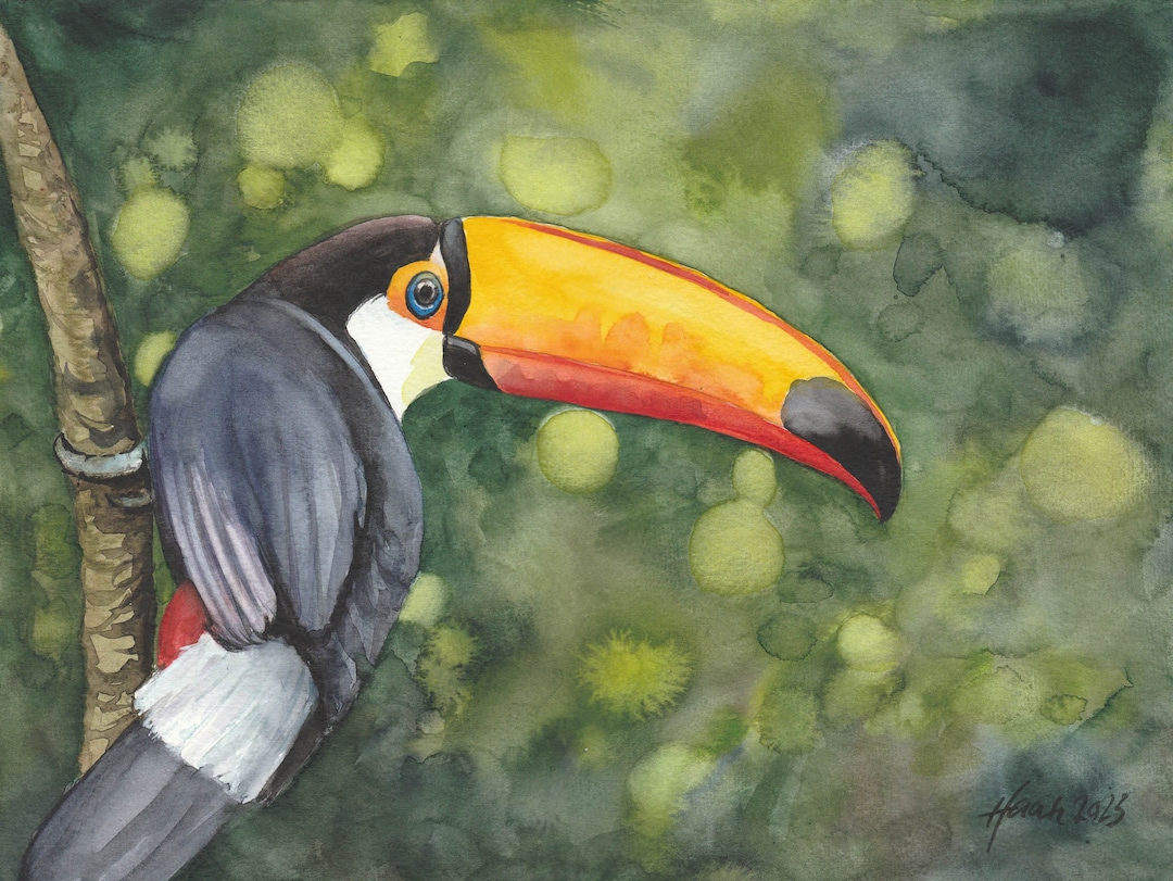 Original Watercolor Painting of a Toucan, Tropical Bird, Toucan Art ...