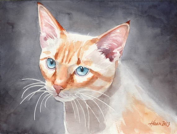 Flame Point Siamese Kittens