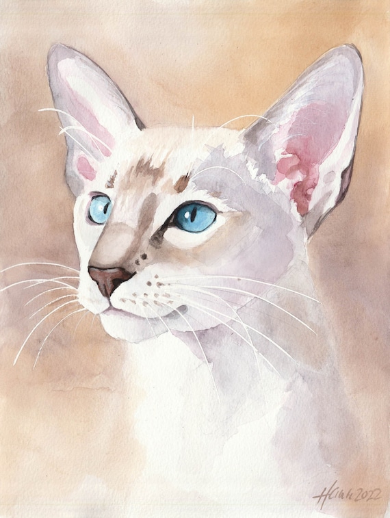 Cream Point Siamese
