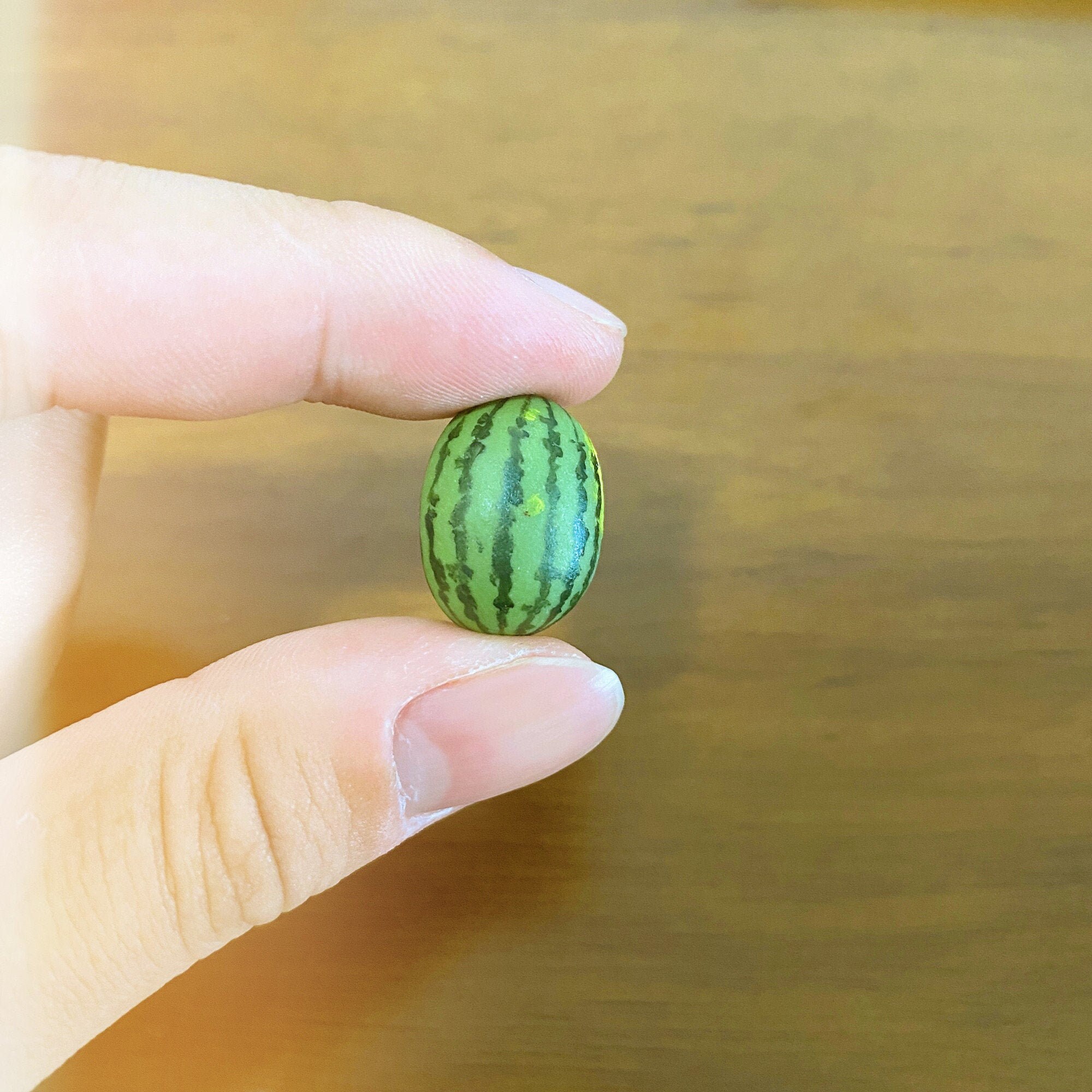 Smallest Watermelon In The World
