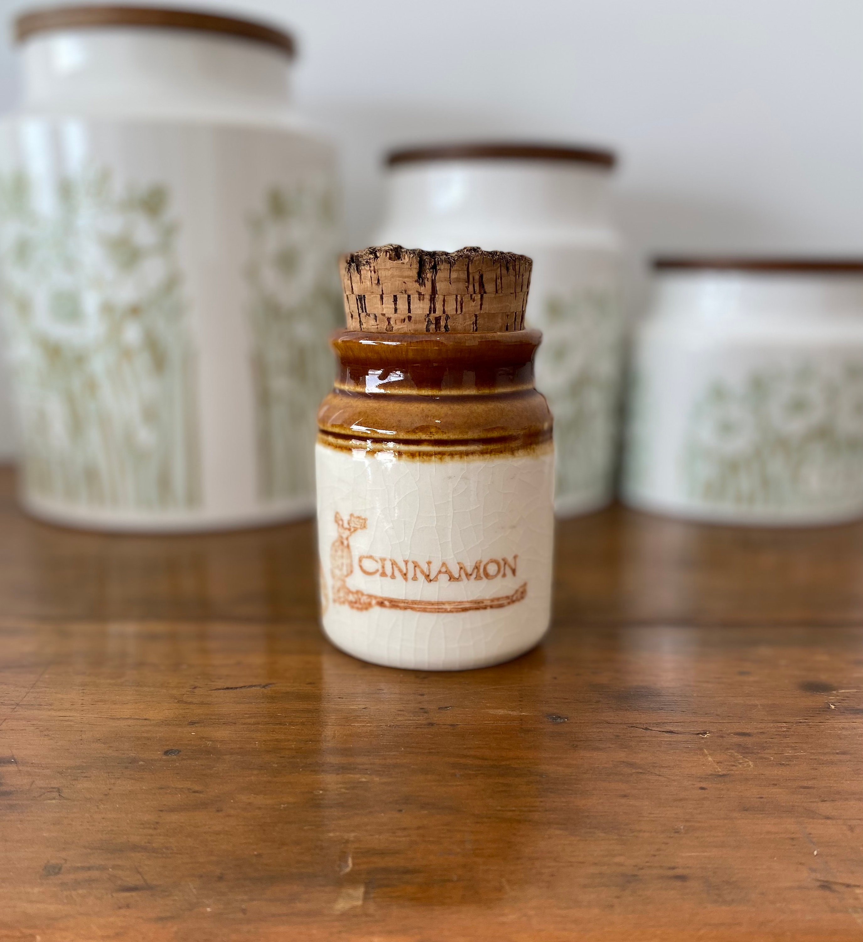 Cinnamon Spice Container