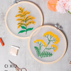 Beginner Hand Embroidery Full Kit,plants Transparent Embroidery Kit for ...