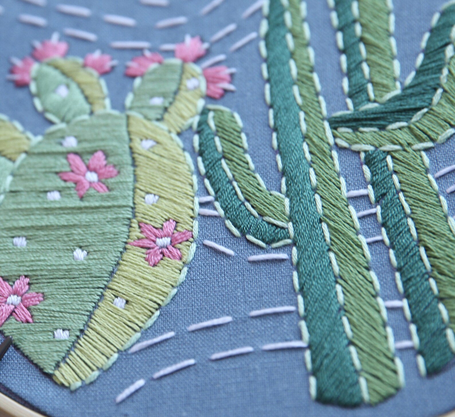 Beginner Embroidery Kit Cactus|modern Flower and Plant Cactus|hand ...
