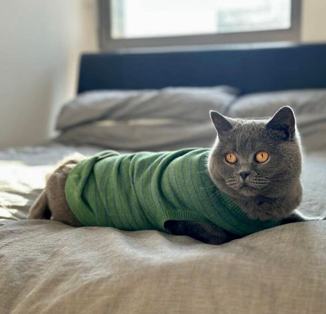 Everest Cat Knitwear, Cotton Silk Blend Cat Jumper, Cat Sweater, Kitten ...