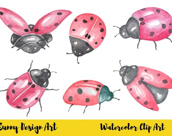 Birthday Clip Art Watercolor Birthday Party Bday Clipart | Etsy