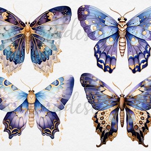 Watercolor Butterfly and Moth Clipart Bundle, Mystical Pagan Art ...