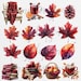 Burgundy Autumn Clipart: Watercolor Fall PNG Stickers for Planners ...
