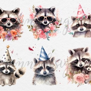 Cute Raccoon Clipart, Raccoon Family Clipart, Raccoon PNG, Watercolor ...