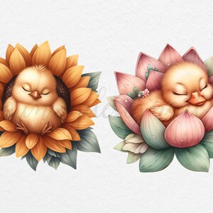 Baby Animals Sleeping in Flowers Clipart: Nursery PNG Graphics ...