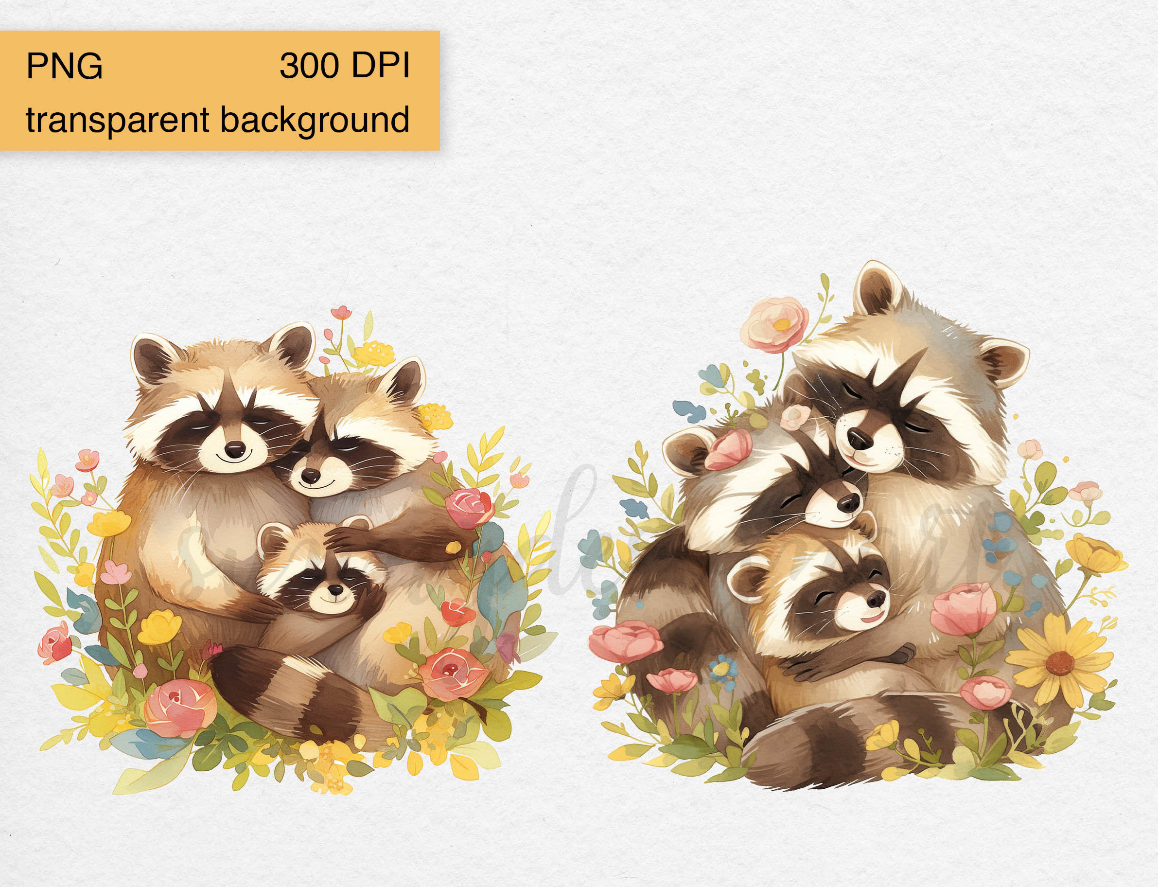 Watercolor Raccoon Family Clipart: Forest Animal PNG (digital Download ...
