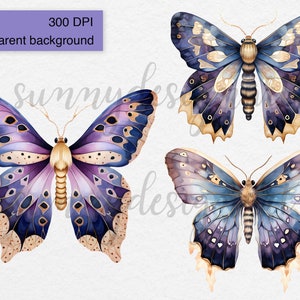 Watercolor Butterfly and Moth Clipart Bundle, Mystical Pagan Art ...