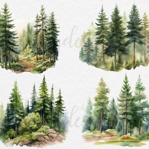 Forest Landscape Clipart, Watercolor Pine Tree PNG, Woodland Background ...