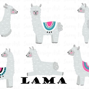 Llama Vector, Llama Clipart, Hand Drawn Llama, Llama Alpaca, Cactus ...