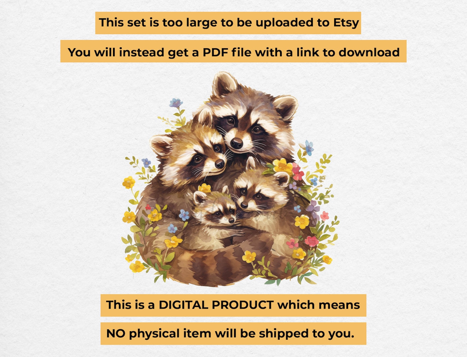 Watercolor Raccoon Family Clipart: Forest Animal PNG (digital Download ...