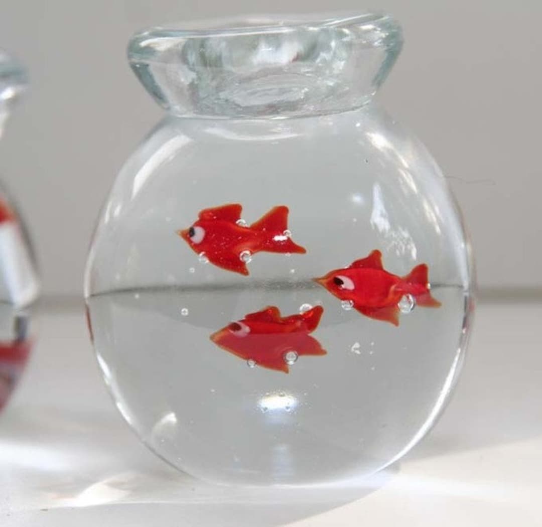 Goldfish Jar-paperweight - Etsy