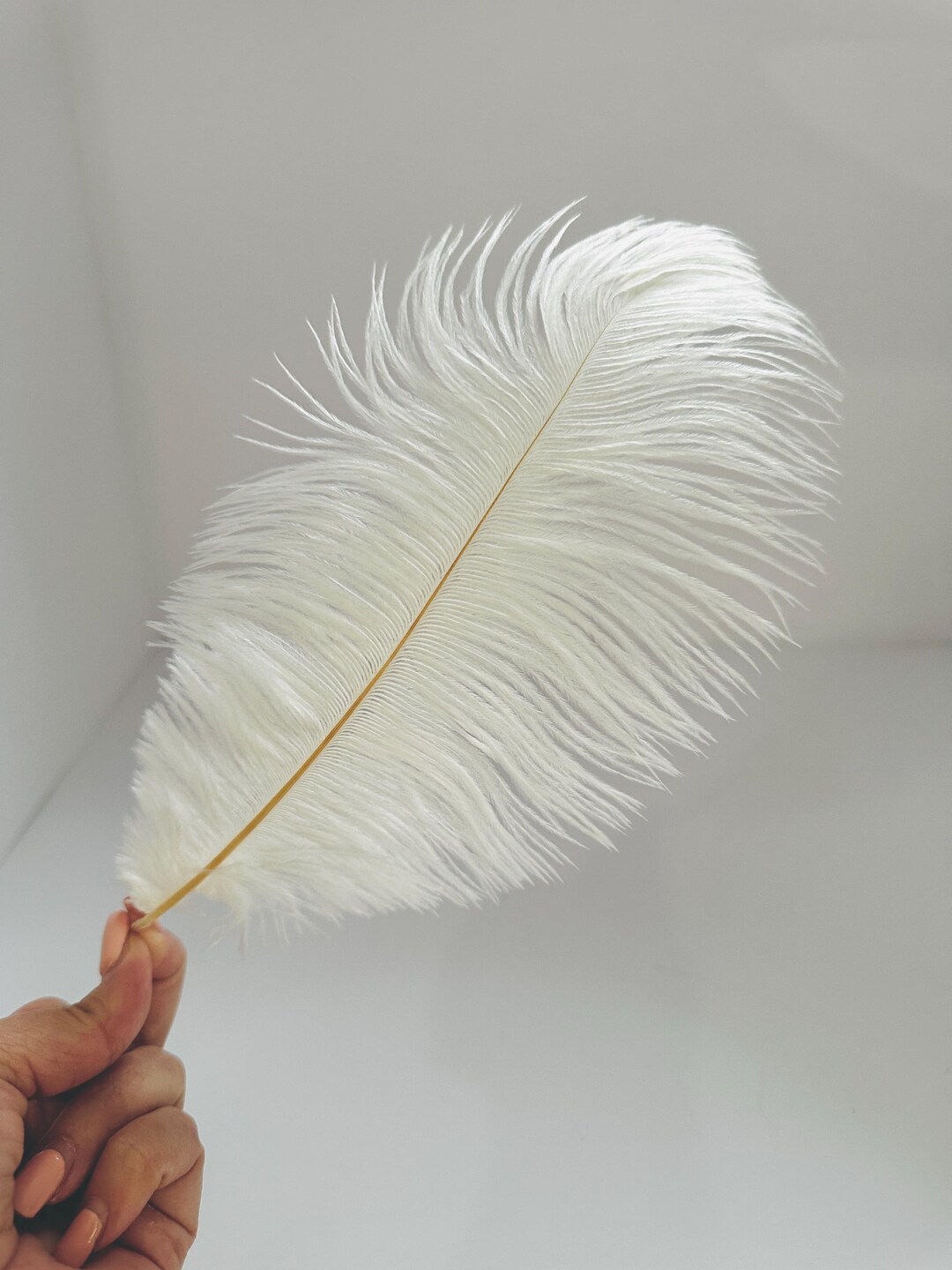 20 Pc Lot of Large White Feathers Perfect for Crafting or Center Pieces ...