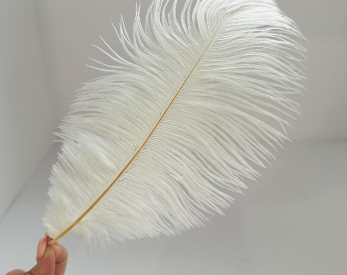 Giant Feathers White Feathers Wedding Decor Large Feathers Festive ...