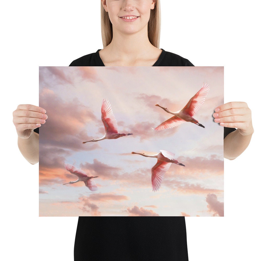 Coastal Beachy Art Print With Native Florida Birds - Unframed Wall Art ...