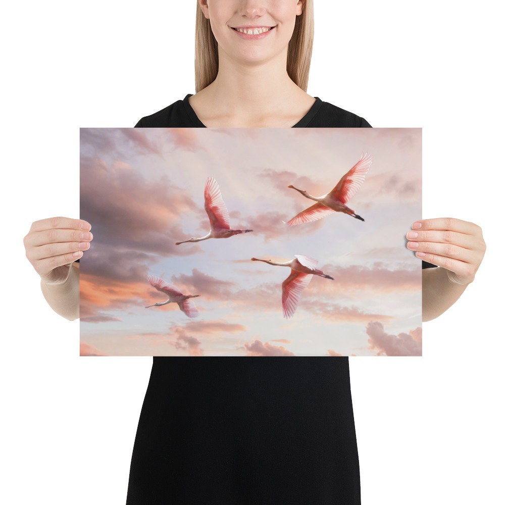 Coastal Beachy Art Print With Native Florida Birds - Unframed Wall Art ...