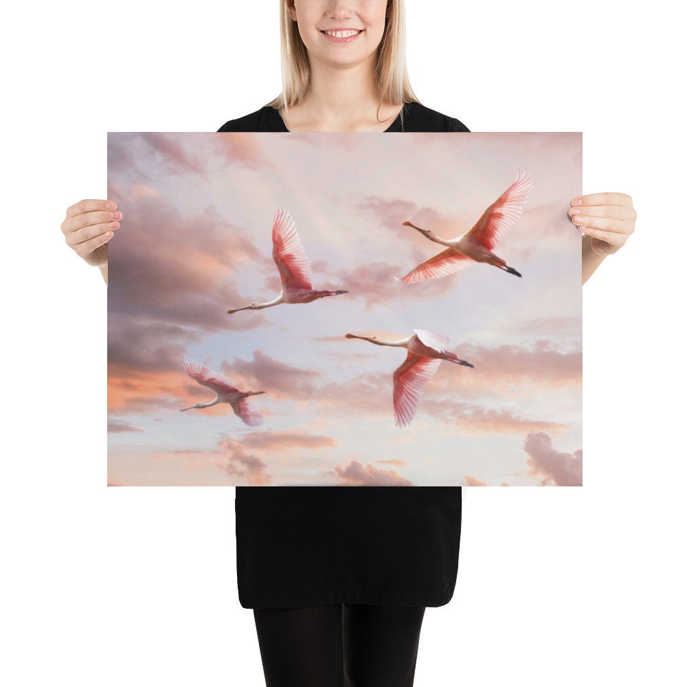 Coastal Beachy Art Print With Native Florida Birds - Unframed Wall Art ...