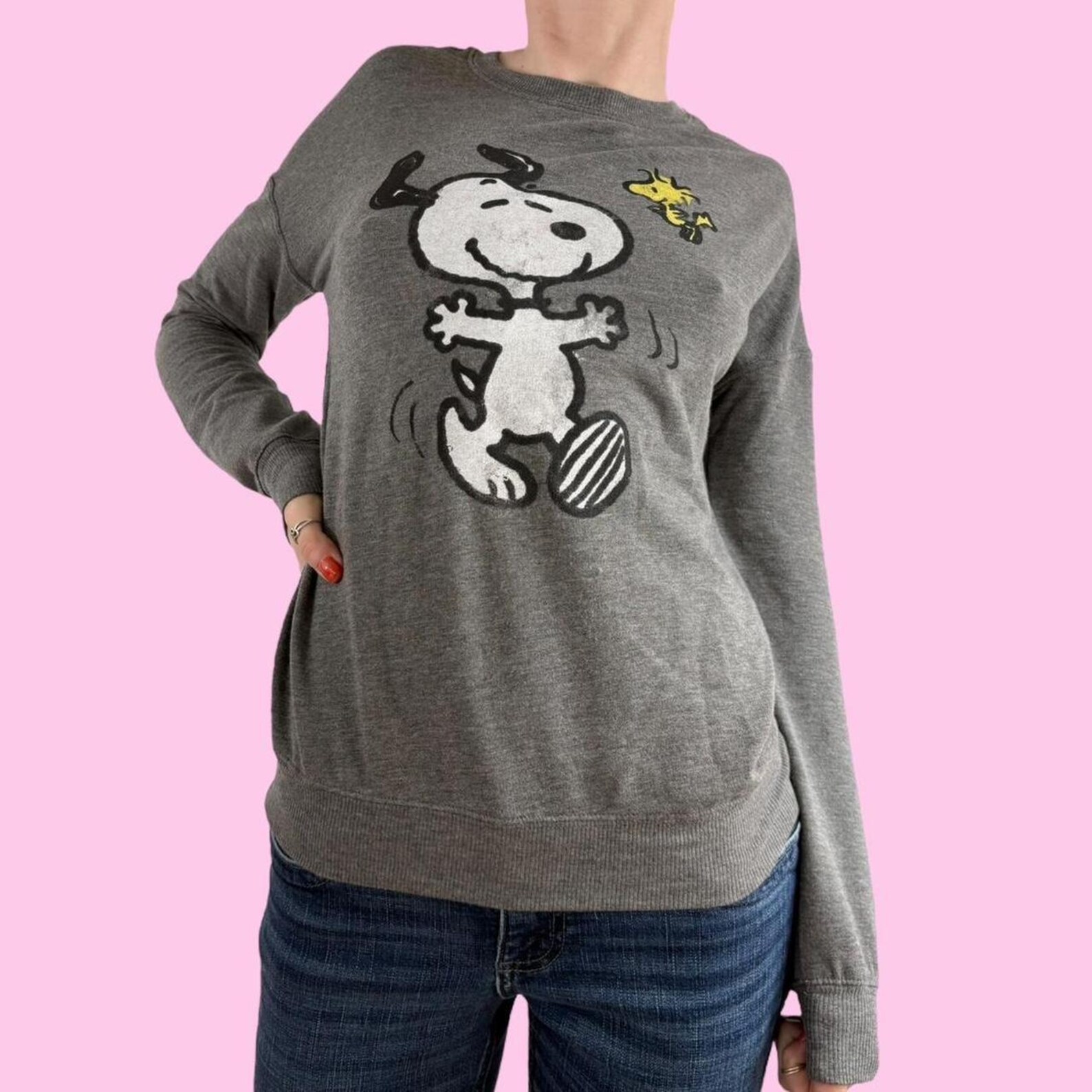 Peanuts Snoopy Woodstock Grey Sweatshirt Size XS - Etsy