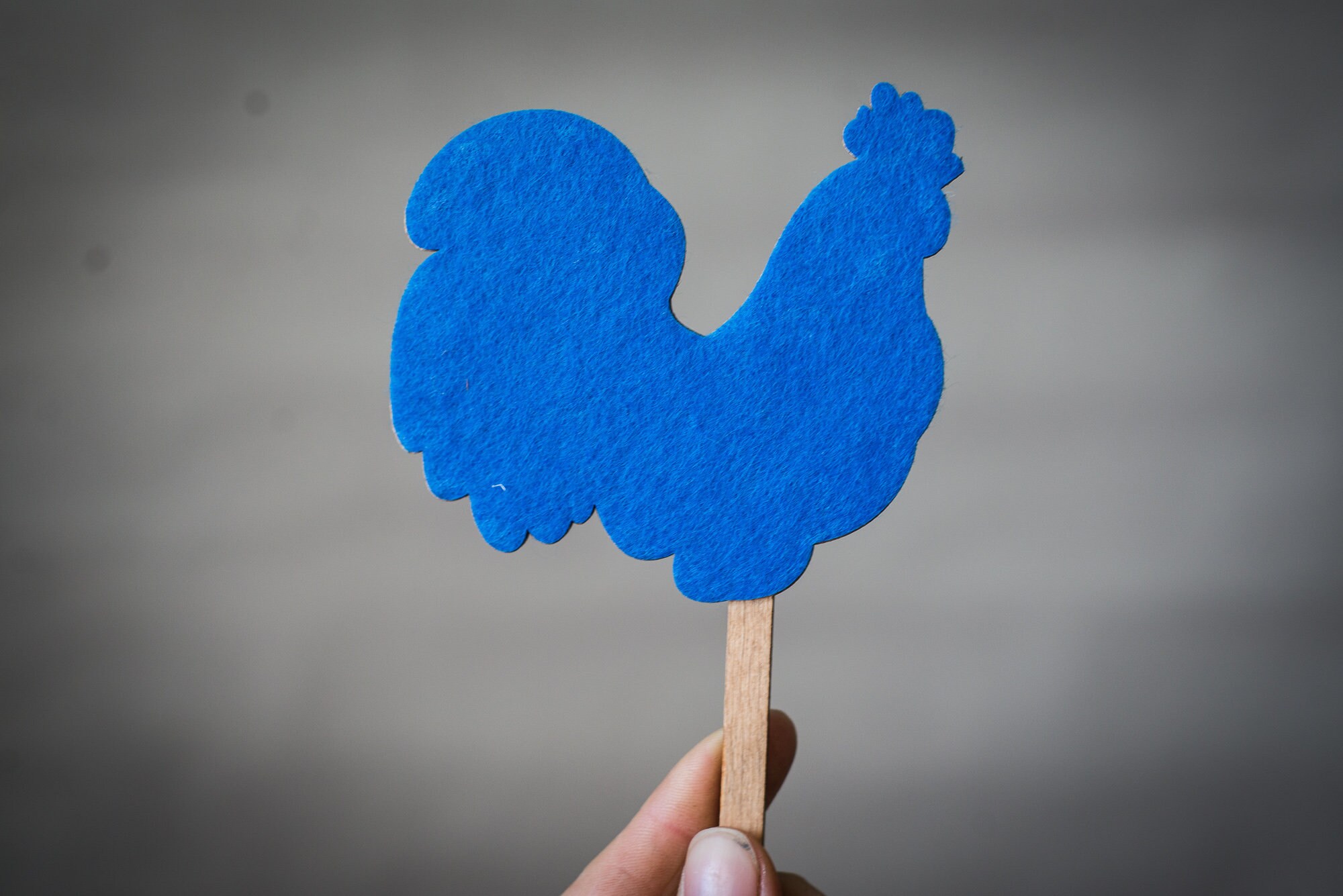 Laser Cut Blank Rooster, DIY Embroidery on Wood, Kids Craft Pattern Kit ...