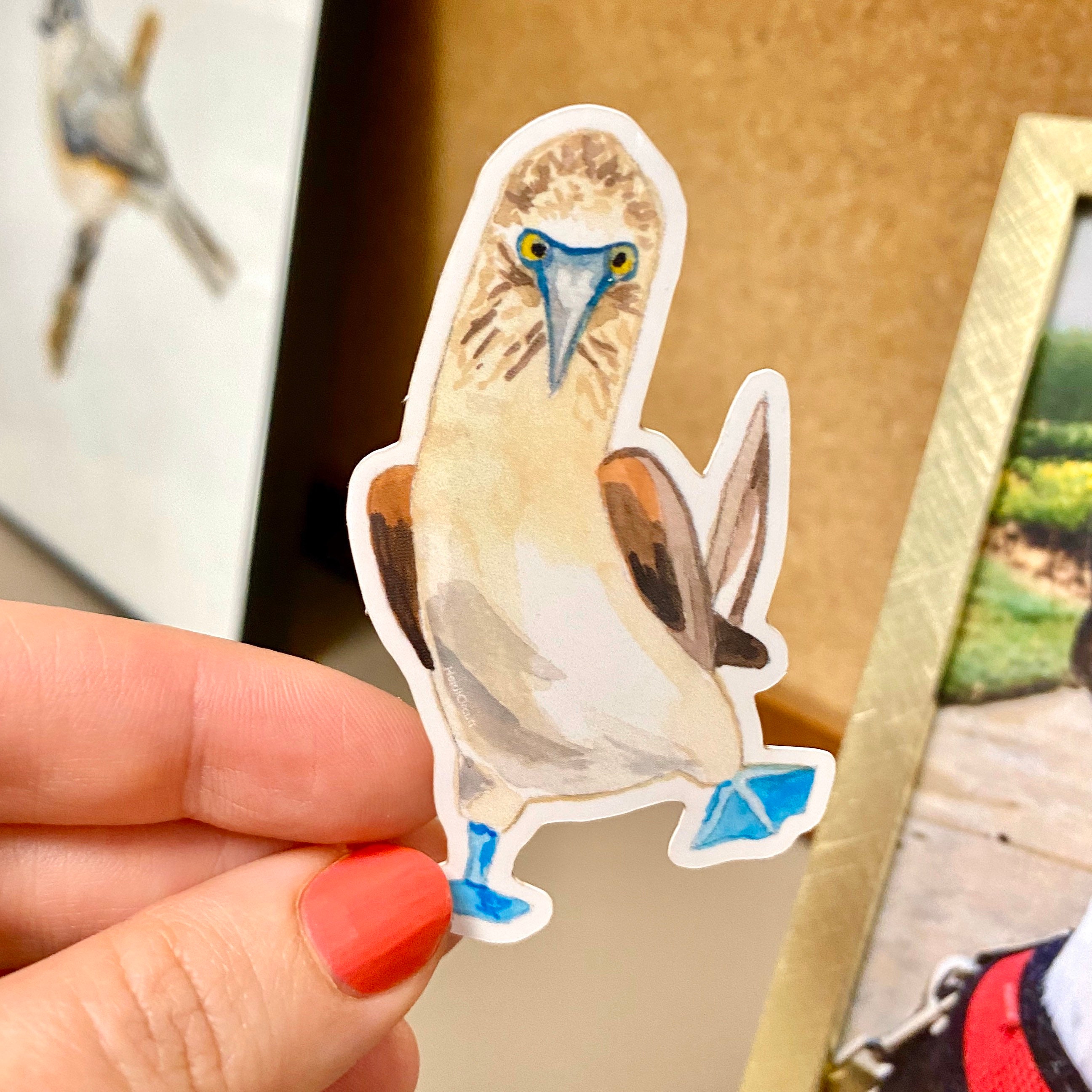 Blue Footed Booby Sticker Single Sticker Fun Sticker - Etsy