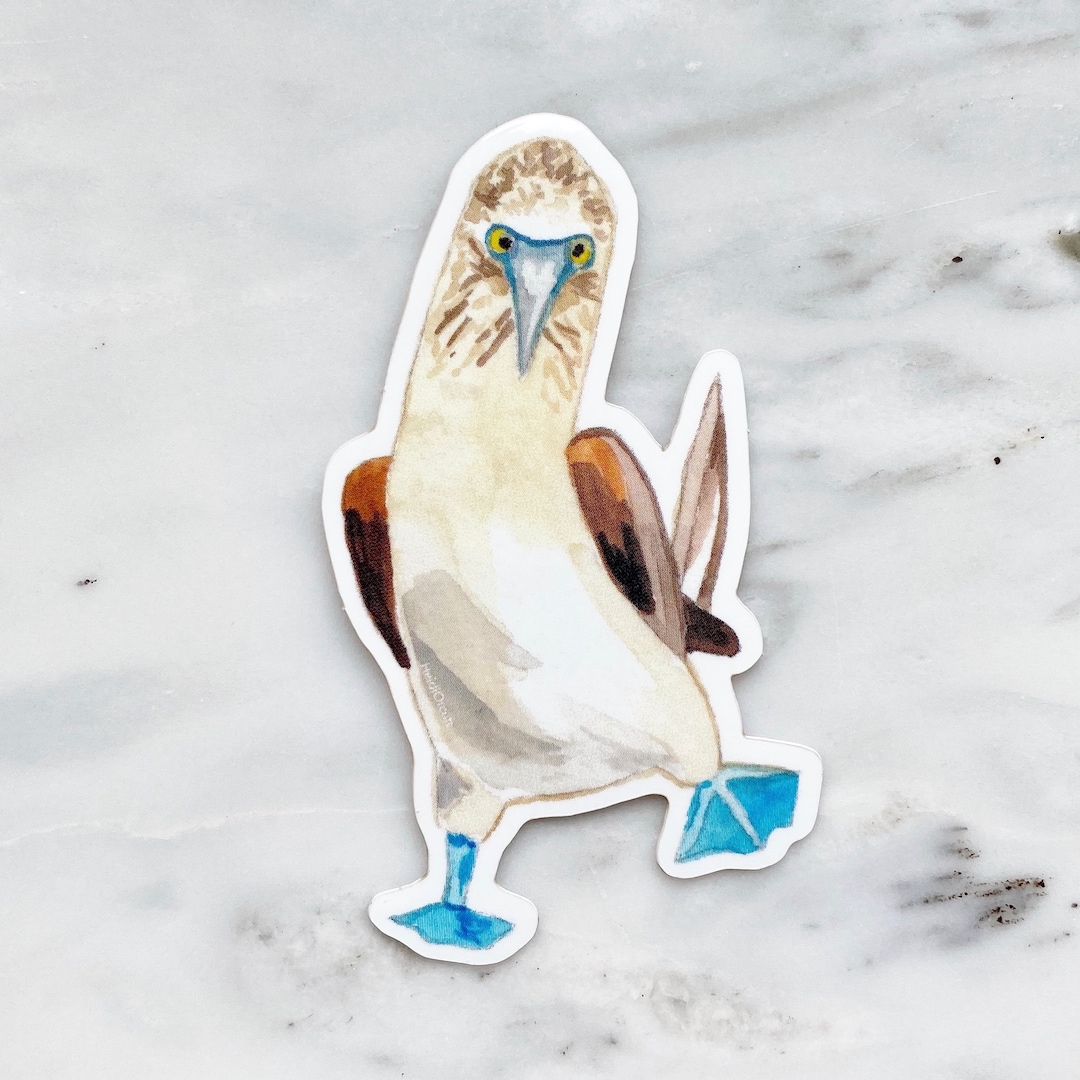Blue Footed Booby Sticker - Single Sticker - Fun Sticker - Bird Sticker ...