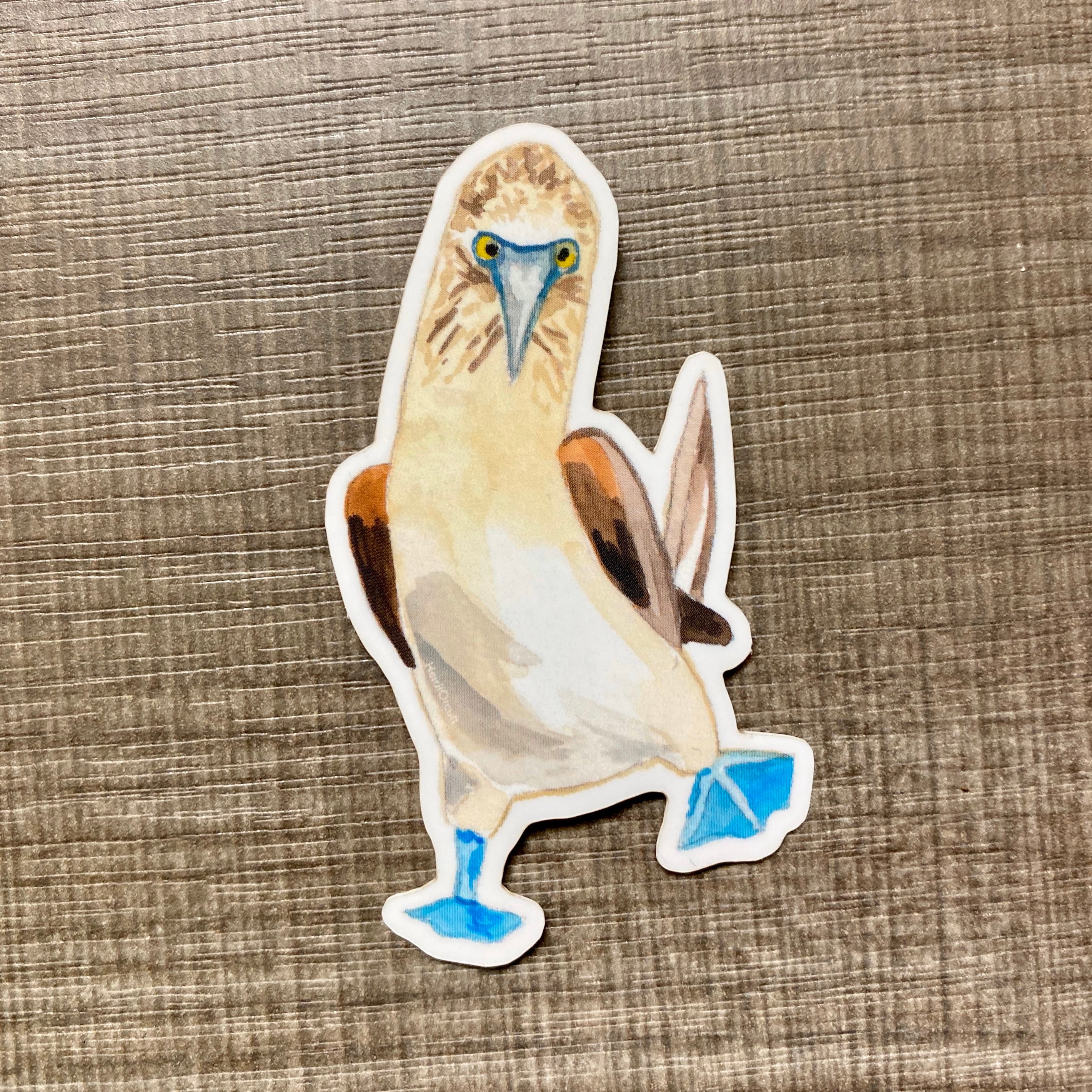 Blue Footed Booby Sticker Single Sticker Fun Sticker - Etsy