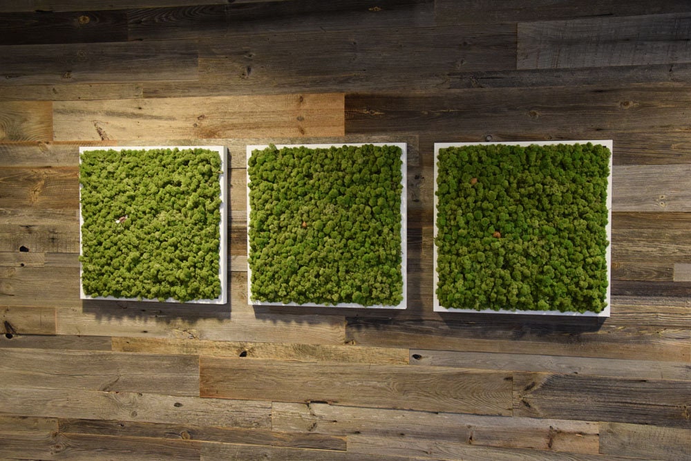 SPECIAL OFFER Rustic Weathered Barn Wood in a Box FSC - Etsy