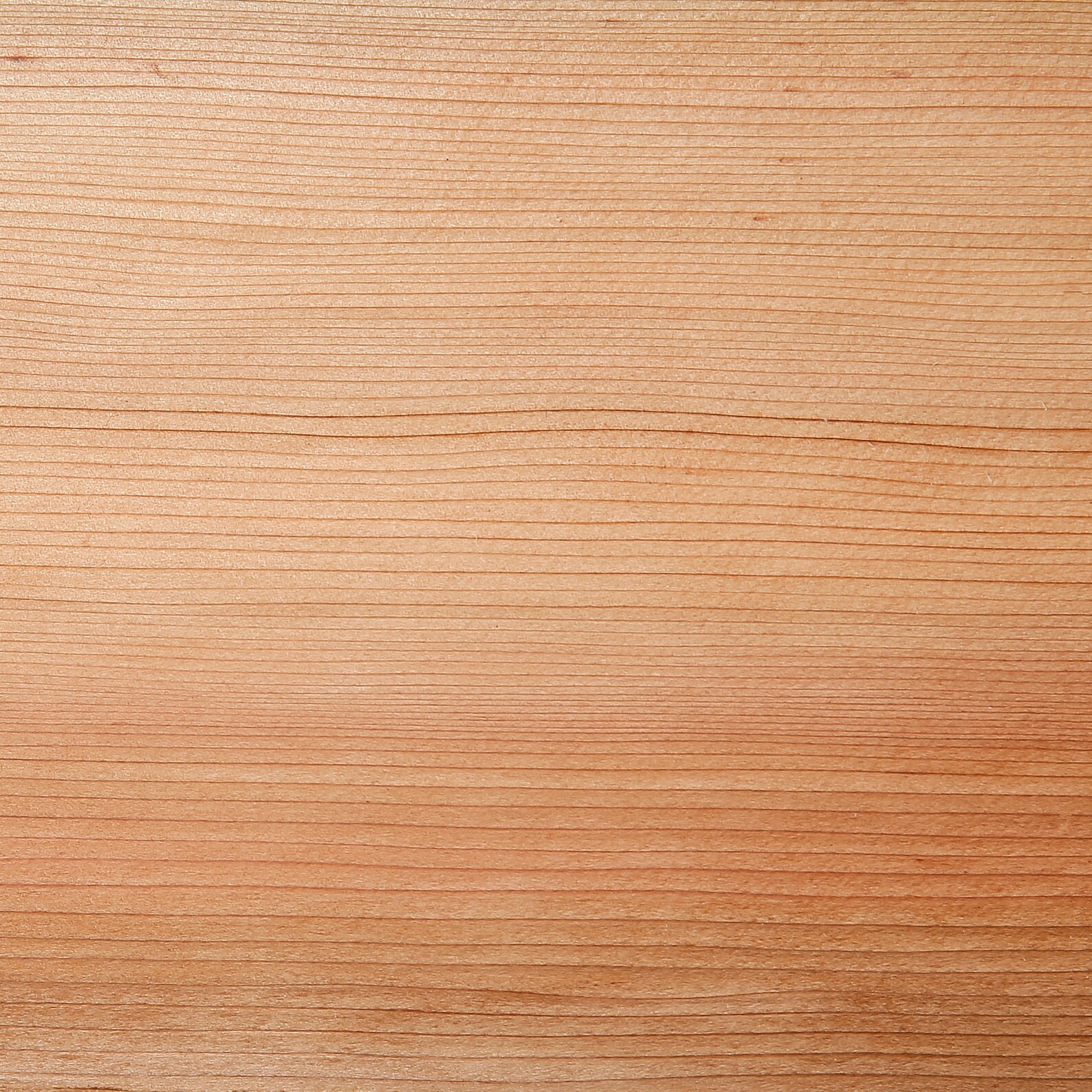 Premium Canadian Western Red Cedar SertiWOOD Cladding Tongue | Etsy