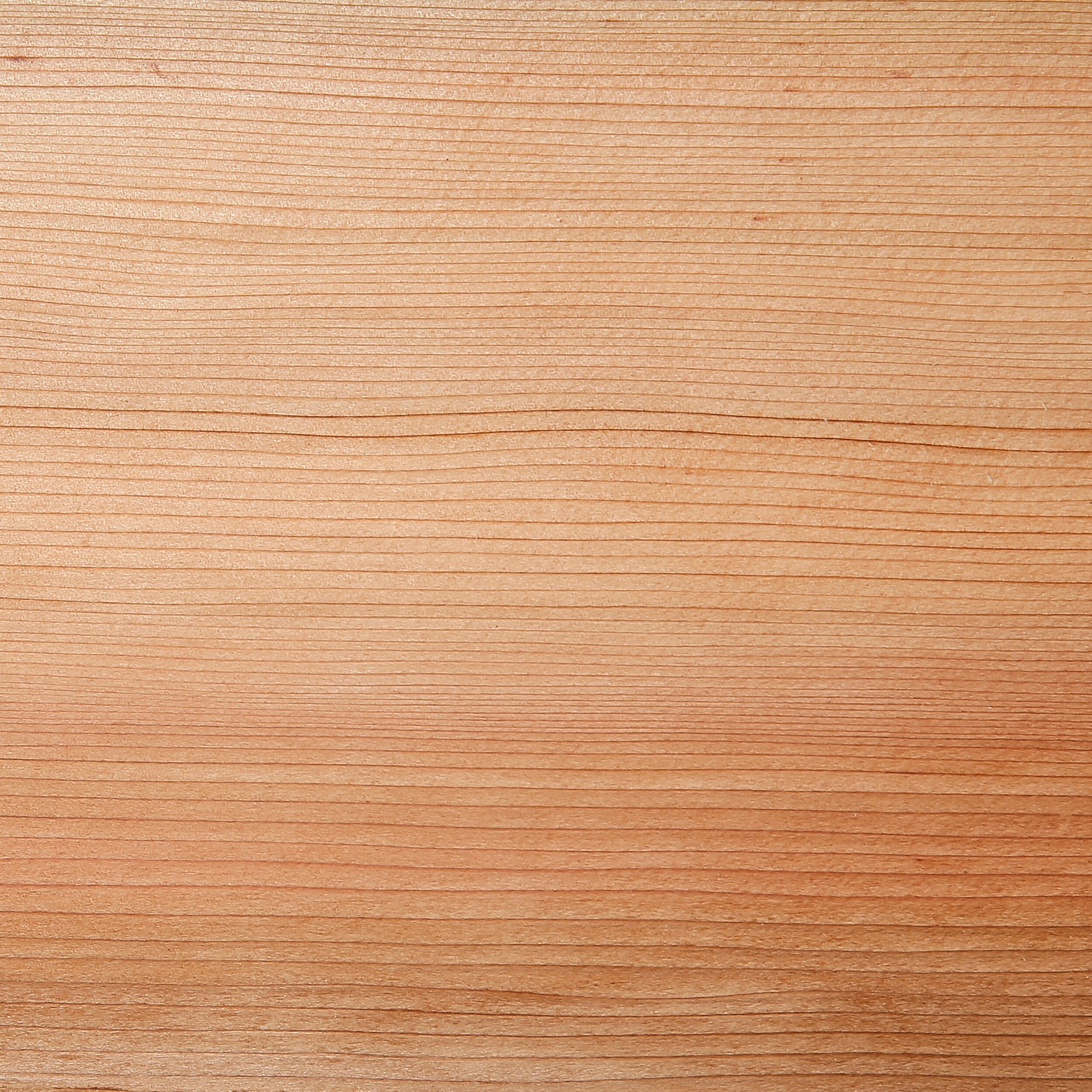 Premium Canadian Western Red Cedar SertiWOOD Cladding Tongue | Etsy