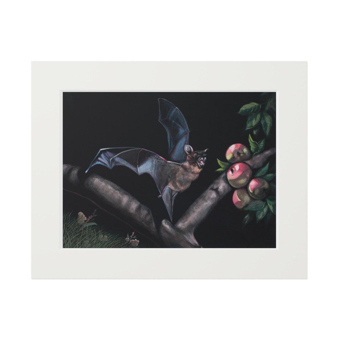 Bat With Apples on Velvet Fine Art Print | Passepartout Mat - Etsy