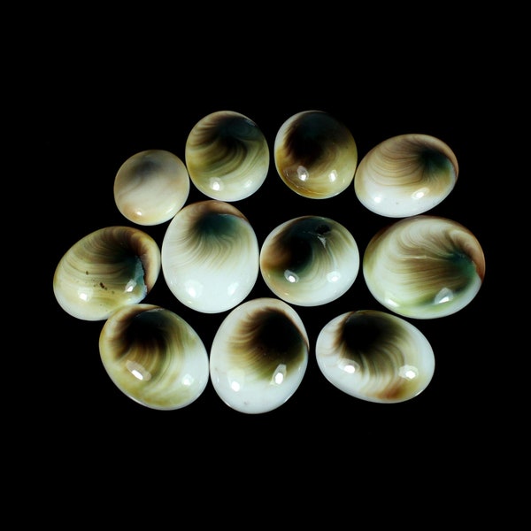 Pacific Cats Eye - Etsy