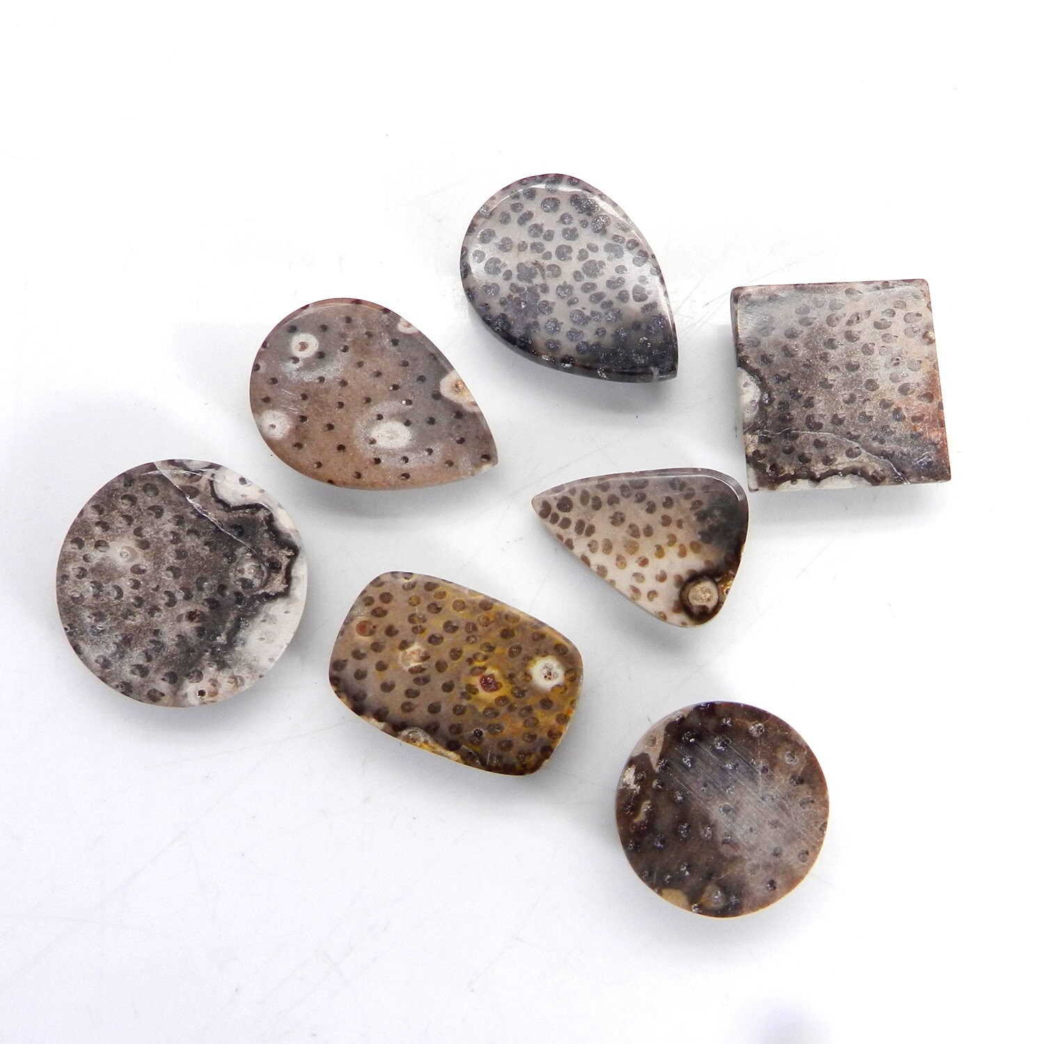 Natural Plum Wood Jasper Mix Shape Wholesale Semiprecious - Etsy